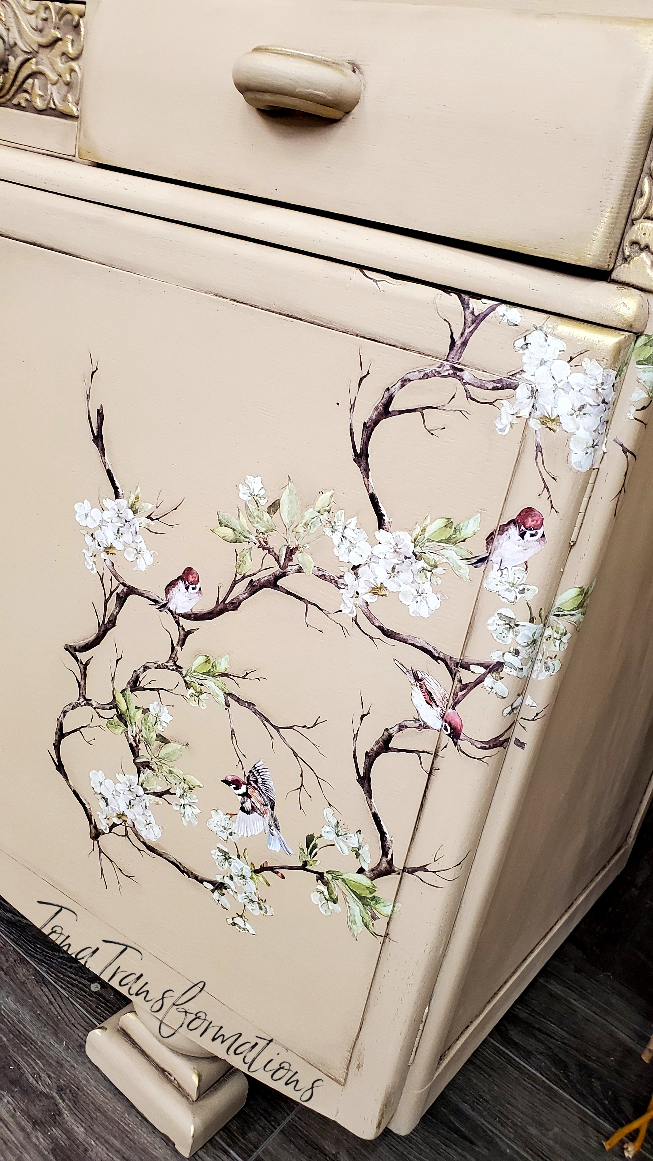 Transfers – Tona Transformations